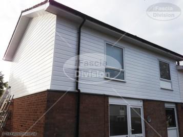 | The Fascia Division