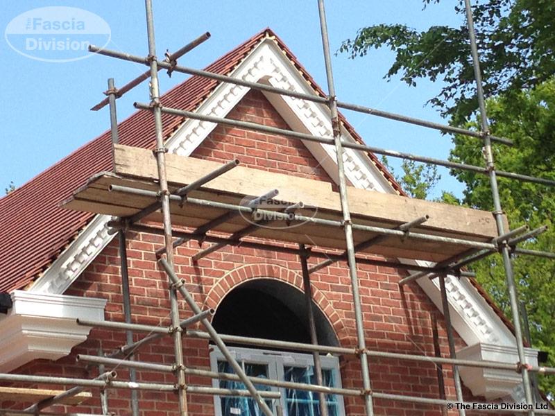 | The Fascia Division