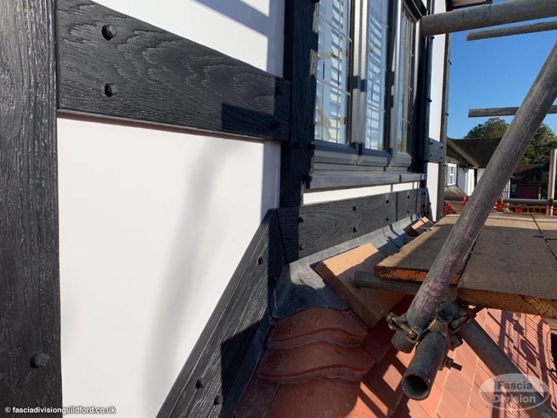 | The Fascia Division